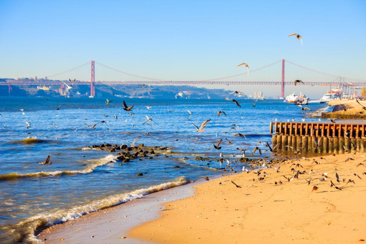 What to do in Lisbon? 35 must-do activities and visits